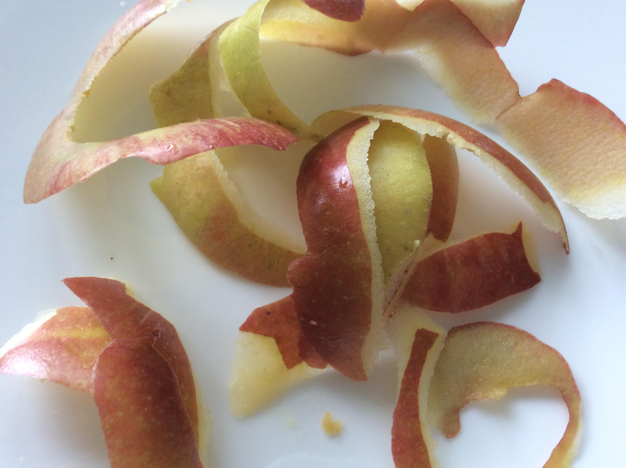 What a waste… – Ellie Philpott